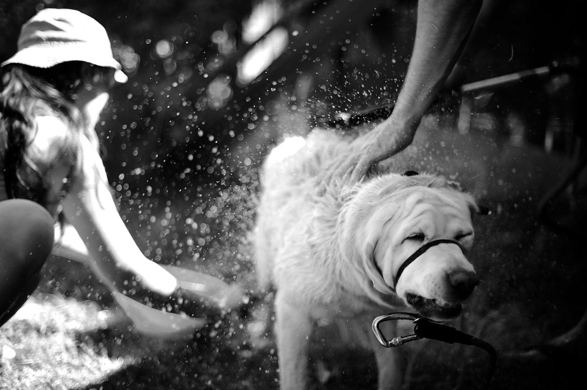 Last of Chile – Los Rodriguez Life