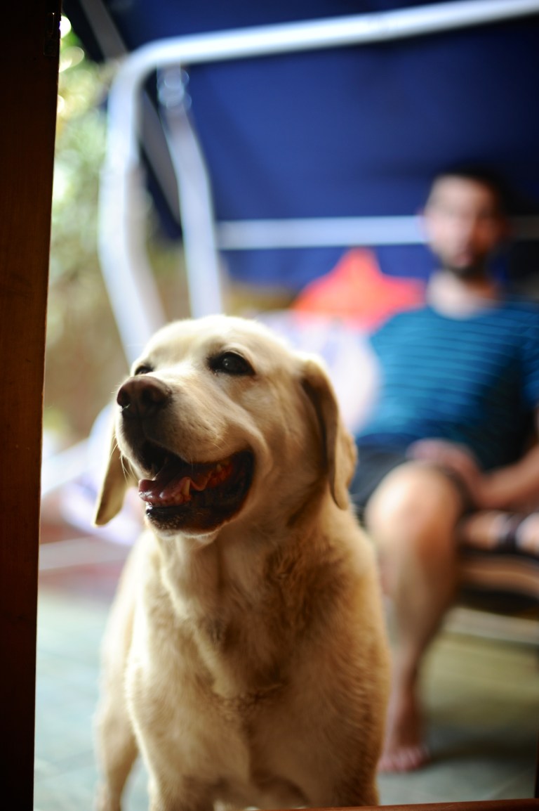 Last of Chile – Los Rodriguez Life