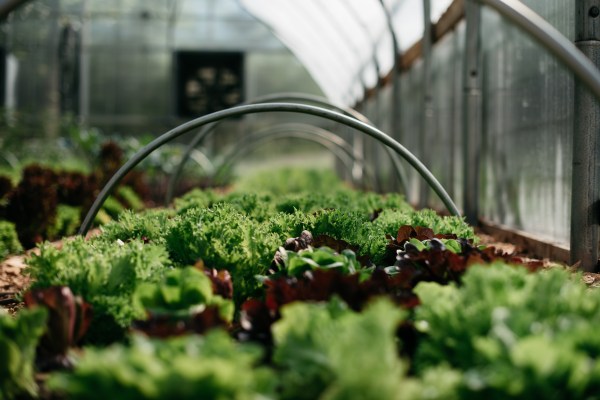 Floyd’s View Farm – Los Rodriguez Life